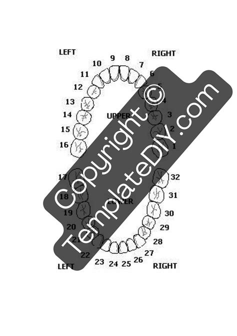 Printable Dental Charting [2025]