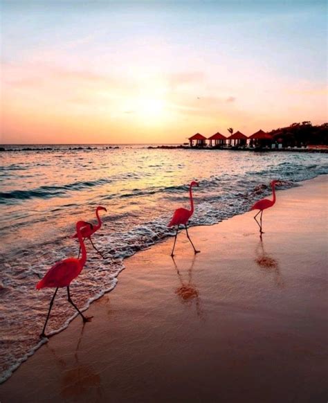 Jane Steve Posted On Linkedin