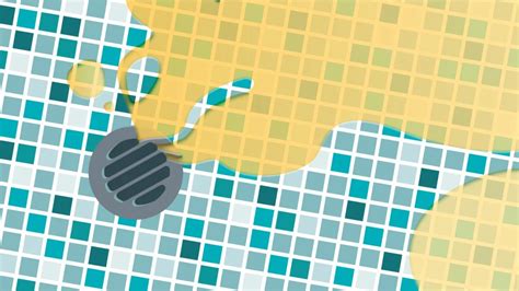 Is It Ok To Pee In The Shower Benefits And Possible Risks