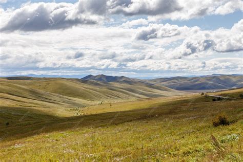 Steppe Grasslands
