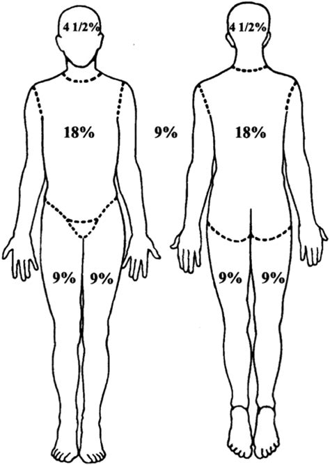 Assessment And Management Of Acute Burn Injuries Physical Medicine