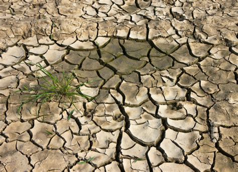 What Are The Causes And Consequences Of Desertification The Happy