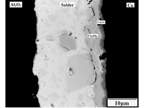 Micrographs Of Aluminacopper Interfacial Microstructure After Aging Download Scientific