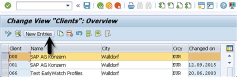 Sap Basis Quick Guide