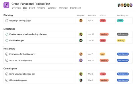 Free Cross Functional Project Template 2026 • Asana