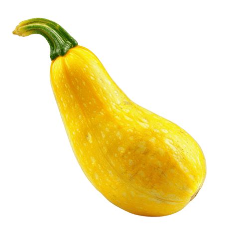 Squash Pngs For Free Download