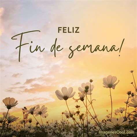 Foto De Feliz Fim De Semana