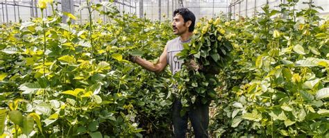 Rural Economic Diversification And Infrastructure Program Redip Province Of British Columbia