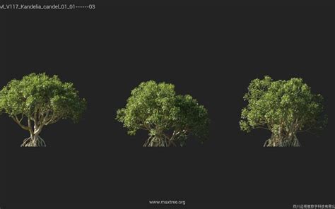 V117kandeliacandel01 Maxtree