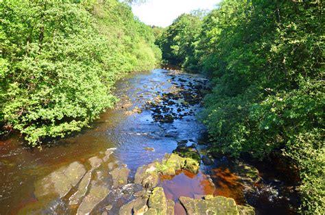 Kielder Kielder Forest The Largest Man Made Forest In Europe Plus Kielder Reservoir And