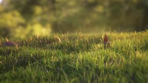 Pritha Chakraborty Posted On Linkedin