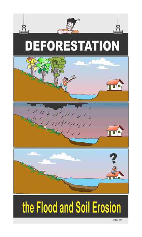 Deforestation Awareness Poster Anti Deforestation Actions Tiktok