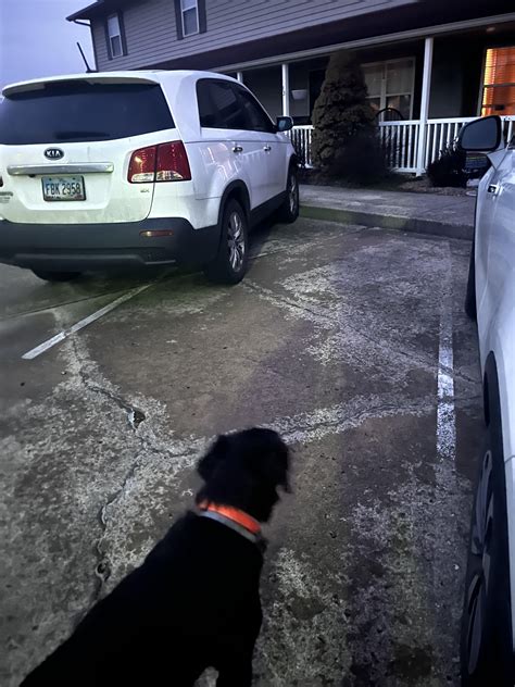 My Neighbor Isnt The Best Parking She Takes Up My Spot R