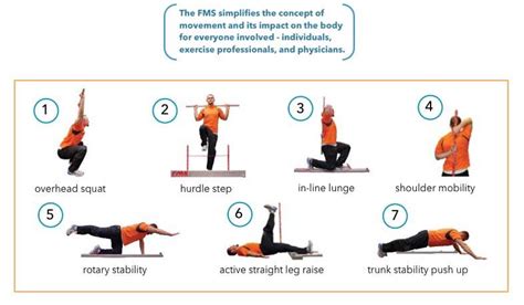 Fms Functional Movement Systems Artofit