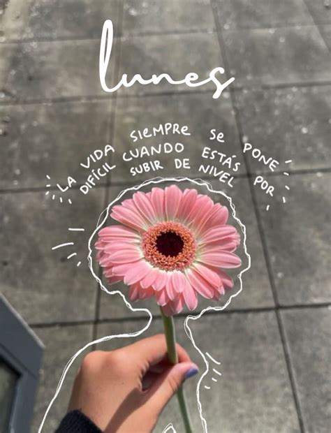 Imagenes Aesthetic Con Frases