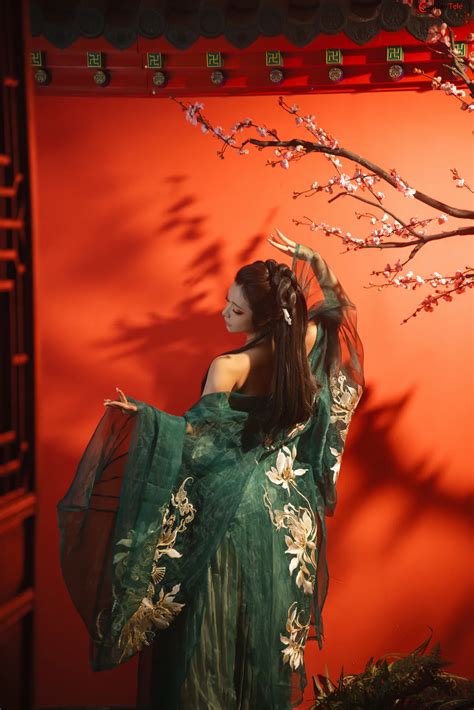 Yuuhui玉汇 Kokuhui Liu Ruyan 134 Photos And 2 Videos Cosplaytele