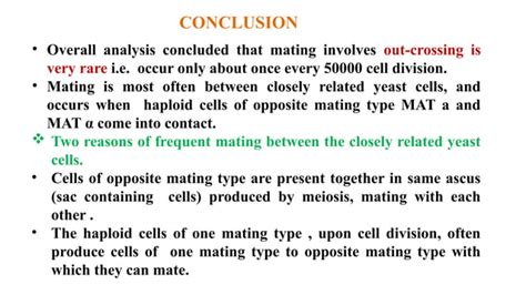 Yeast Mating Types Unraveling The Secrets Of Sexual Reproduction In