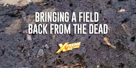 Revitalizing Flooded Soils Rebuilding Soil Biology With Agxplore