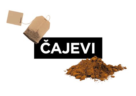 Fungiverse Svijet Gljiva