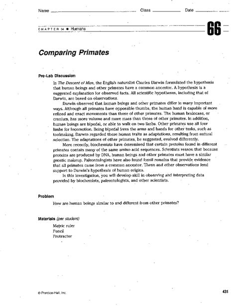 Comparing Primates Lab Worksheet Studocu