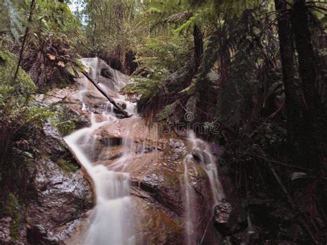 Stunning View Of La La Falls Located In Australia Stock Image Image