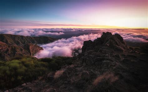 Tom Ormerod Global Pro Gallery Om System