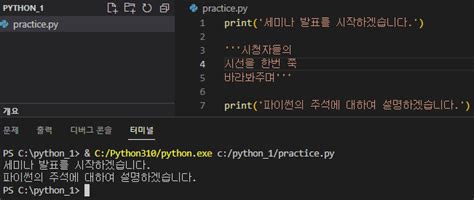 Python 3 문법 주석