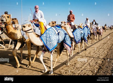 Camel Race Jockeys Pictured At The Camel Race Track At Al Shahaniya In