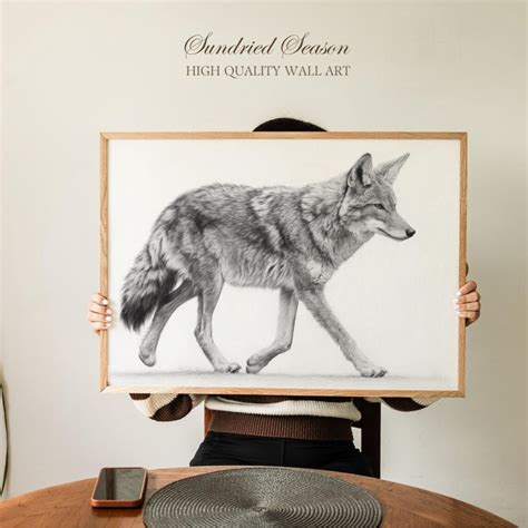 Coyote Pencil Drawing Realistic Wilderness Predator Rustic Wildlife