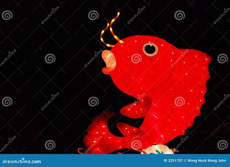 Fish Lantern In The Gardens Stock Image Image Of Park Season 3251707