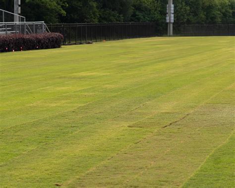 Mercer Mens Soccer Mercermsoccer • Instagram Photos And Videos
