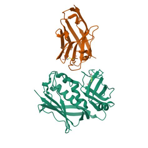 Rcsb Pdb 8ybl Crystal Structure Of Nanobody Seb Nb3 Bound To
