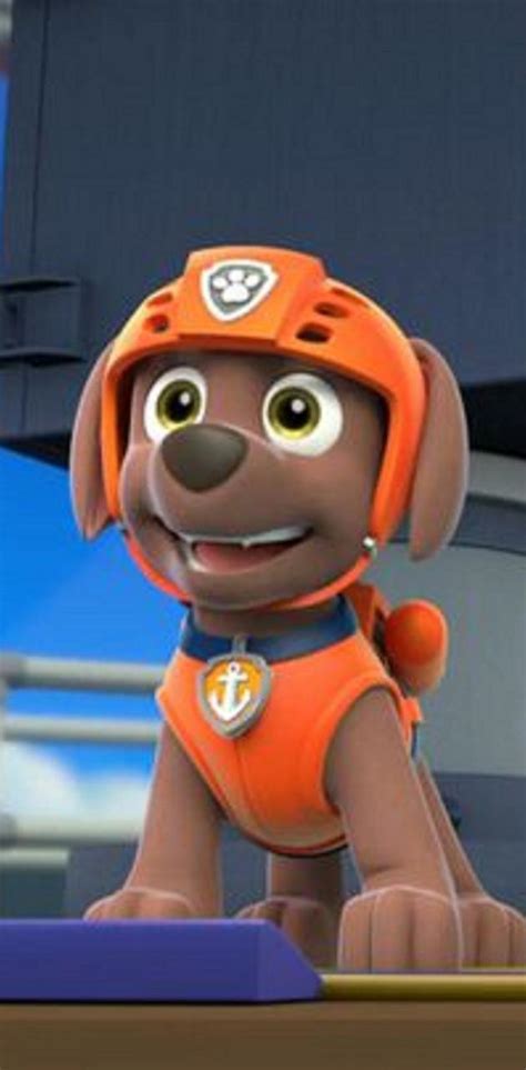 Zuma Paw Patrol Wallpapers Top Free Zuma Paw Patrol Backgrounds