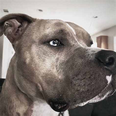 Ciggarete Duet Youtube