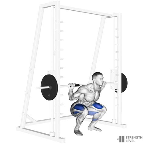 Smith Machine Squat Weight For Beginners At Mason Weatherly Blog