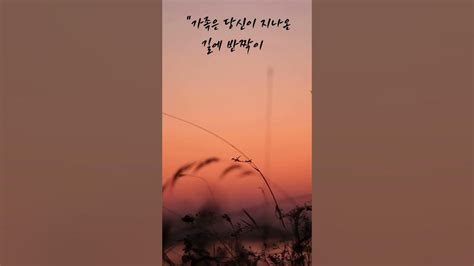 가족 명언 명언 행복가족 힐링 힘을내요 Shorts Youtube