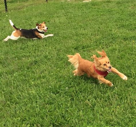 Howard And Smuckers Imgur