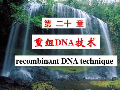 第20章 重组dna技术word文档在线阅读与下载无忧文档