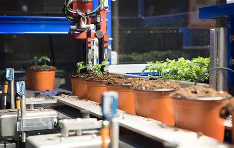 The Cutting And Transplanter Tta Iso Tta Iso