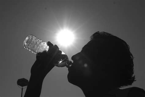Ola De Calor ¿cómo Afecta En Ancianos Grupo Ciudad Jardín