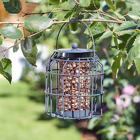 Squirrel Proof Peanut Bird Feeder Diy At Bandq