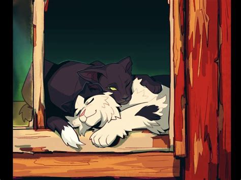 Ravenpaw And Barley😍 Warrior Cats Fan Art Warrior Cats Funny