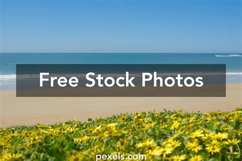 Sea Beatch Wallpaper Photos Download The Best Free Sea Beatch