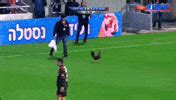 Cock Shock S Find And Share On Giphy