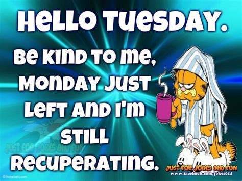 50 Amazing Tuesday Morning Funny Quotes Images And Memes Morning