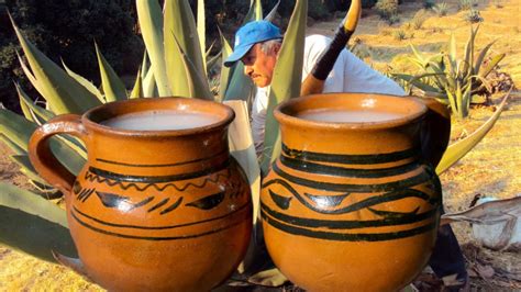 Pulque ¿por Qué Es La Bebida De Los Dioses Y Cuáles Son Sus Beneficios