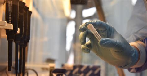 How Reliable Are Ancestry Dna Test Results