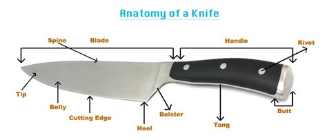 Parts Of Knife Parts Of A Knife Knife Anatomy Explained Bnitel
