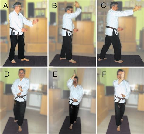 Shomen Uchi Turnverein Baden Lichtental E V