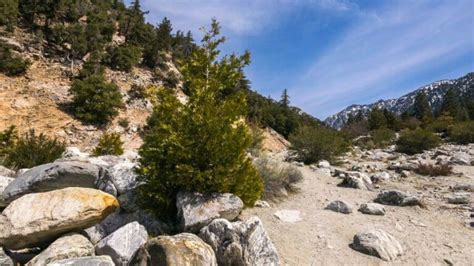 12 Best Hiking Trails In California That You Have To Do At Least Once